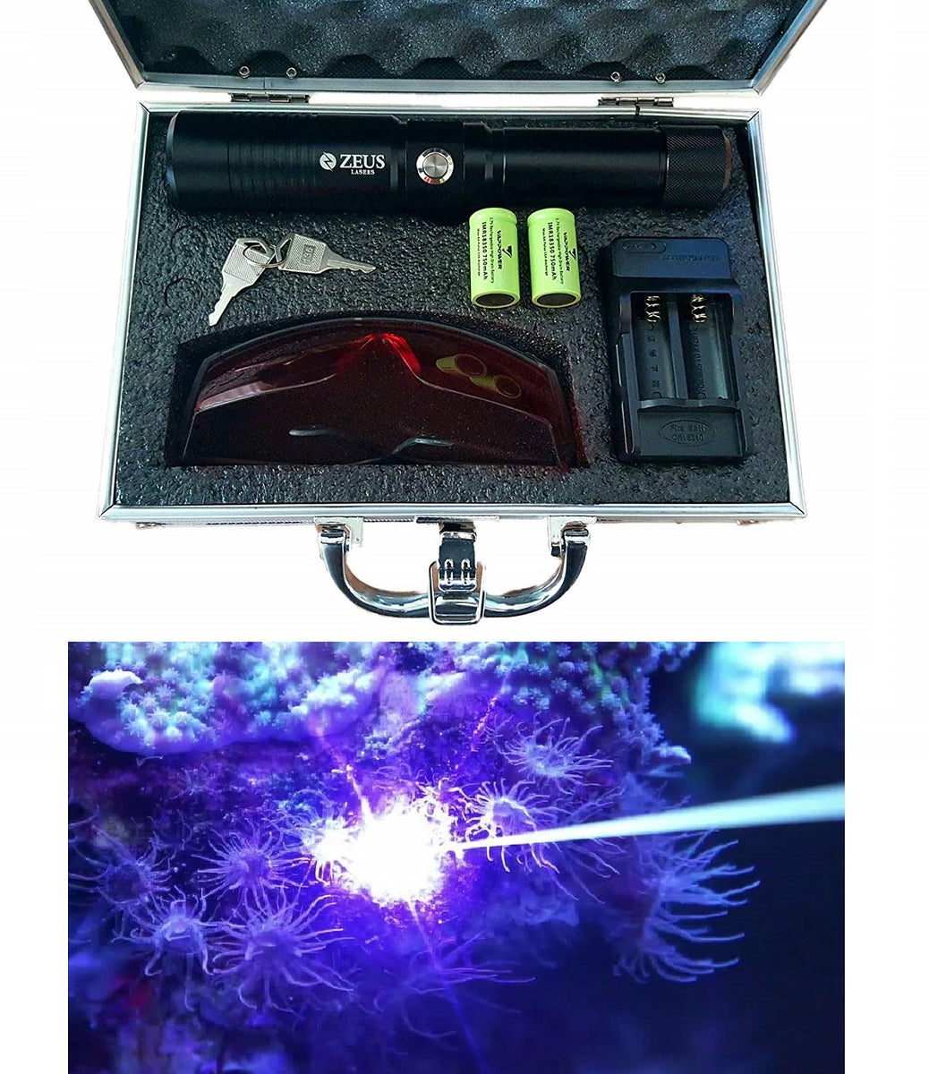 Blue Laser Pointer 3.5 Watt For Saltwater Aquarium Aiptasia Removal ...